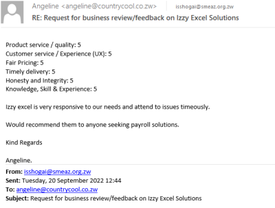 Izzy Excel Solutions